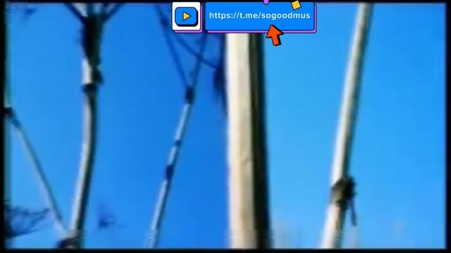 Константин Кинчев: Рок, Вера, Победа #алиса #рок #кинчев #музыка