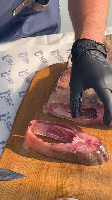 🐠Самый рыбный день с "Азбукой Севера"! 😮