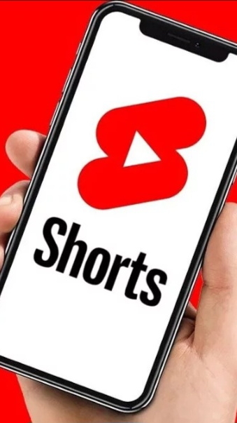 АМстафф против кота