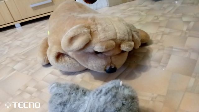 Живая коробка 24 побег из города коробок