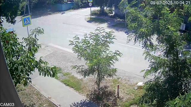 Очередной мастер парковки