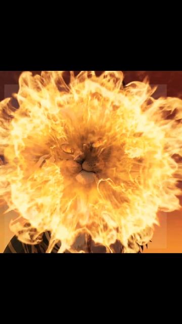 Ежевичка и Звездоцап 😂 #ахахахаха #мемы #подпишись