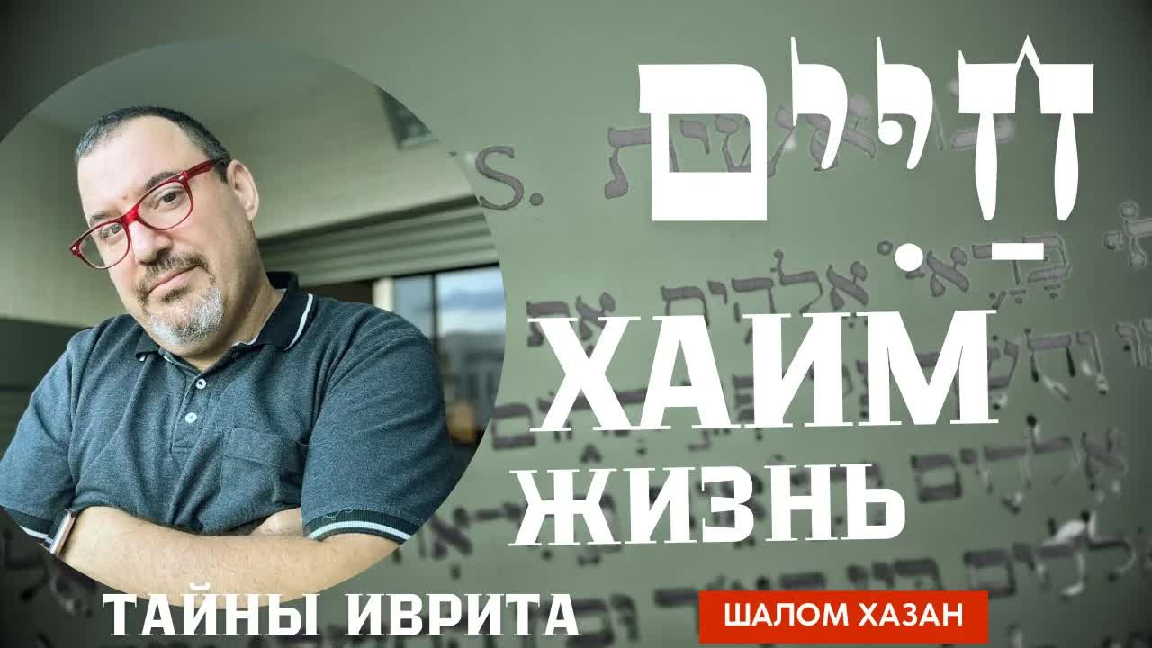 Тайны иврита - Хаим - Жизнь - חַיִּים
