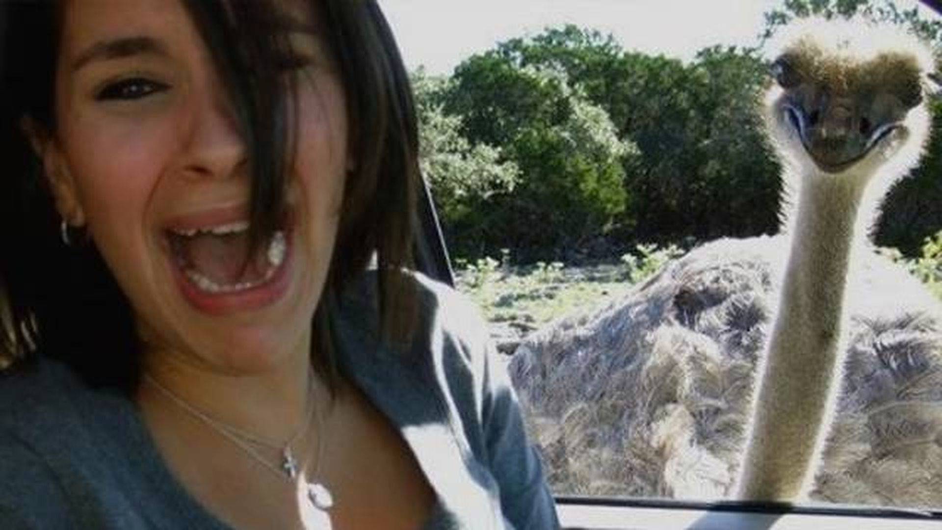 ✔️ СУПЕР НАРЕЗКА ПРИКОЛОВ И НЕУДАЧ 2025 СМОТРЕТЬ ВСЕМ ЧАСТЬ 102