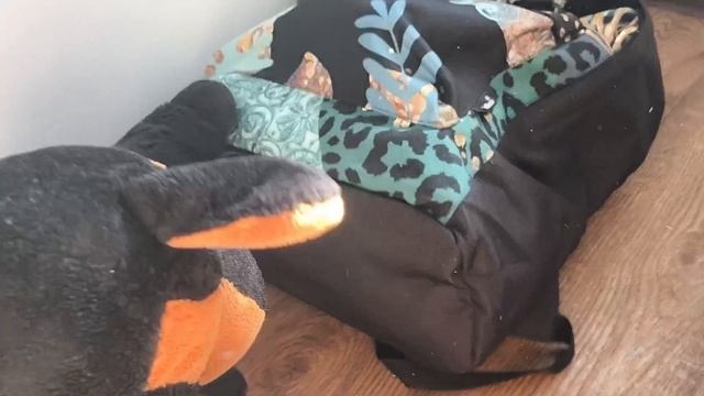 🚙8 серия 1 сезон сериал будни Таксика 🚙