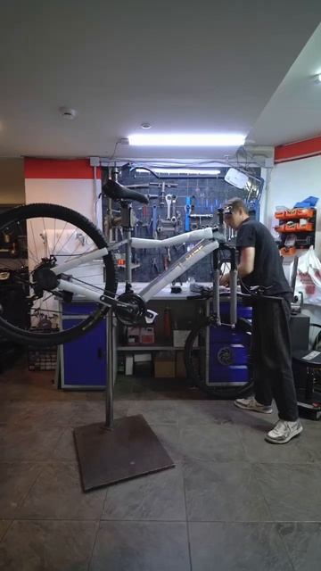 29" Велосипед REBEL RISE ULTRA R8 191, рама алюминий 17, 21ск., MD, cool gray, 2025 - Сборка!