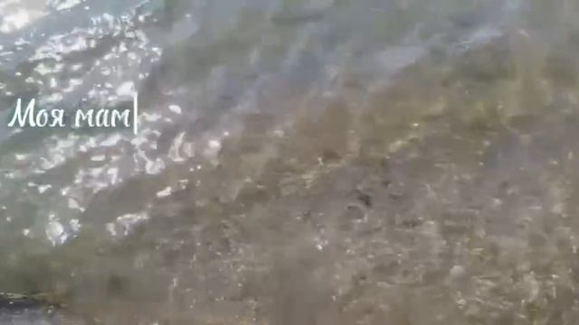 Студенты кафедры социологии и социальной работы подготовили для всех МАМ  видео