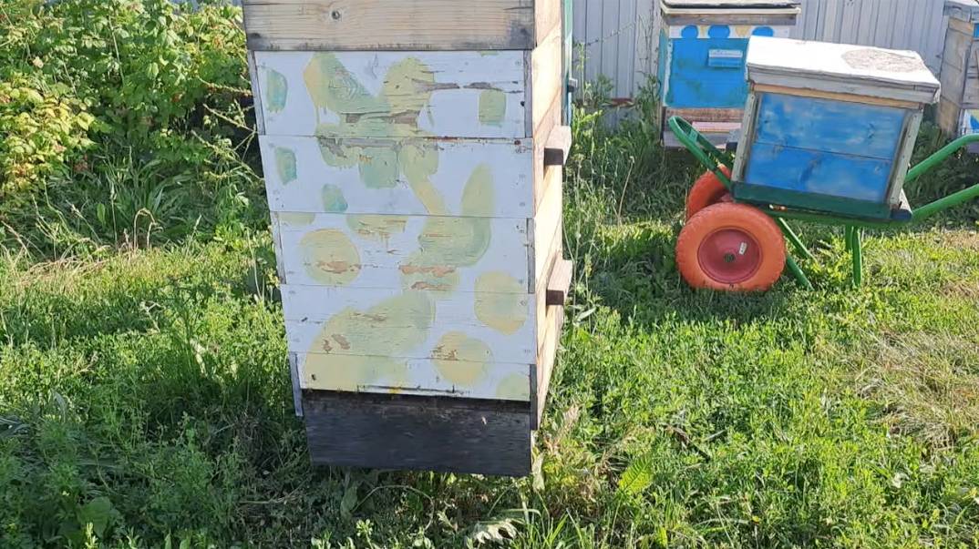 Работа вентиляции деревянных ульев по Кашковскому в жару