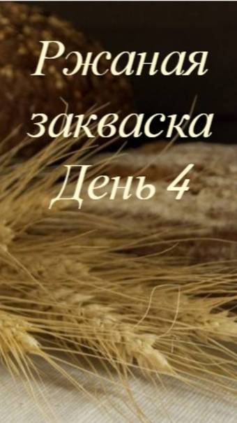 Рецепт ржаной закваски день 4. Видеообзор на канал Olga PekarKo, пробуем приготовить