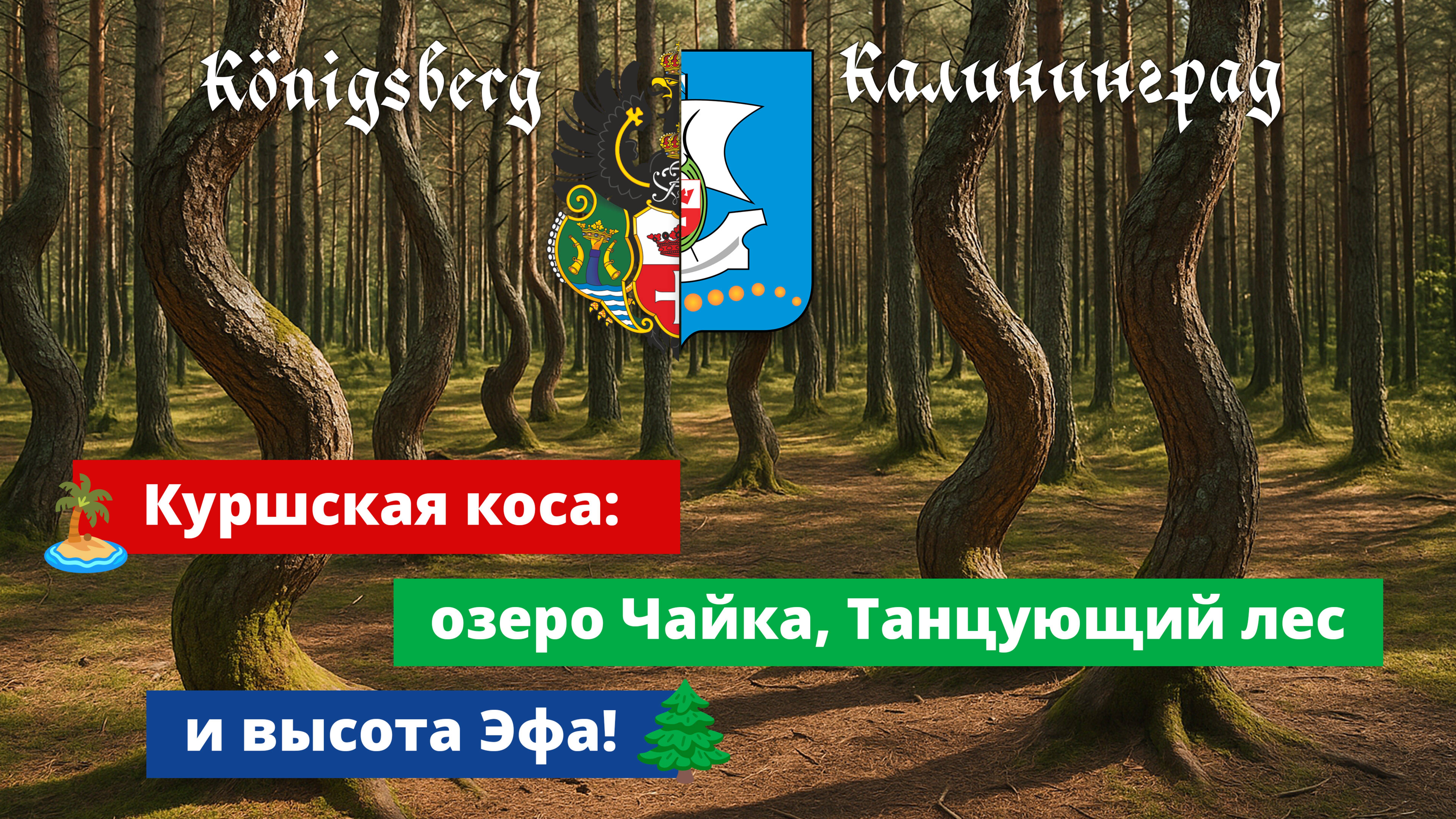 ️ Куршская коса: озеро Чайка, Танцующий лес и высота Эфа!
