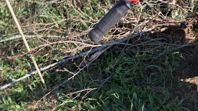 Поиск способа посадки картошки, ч.1