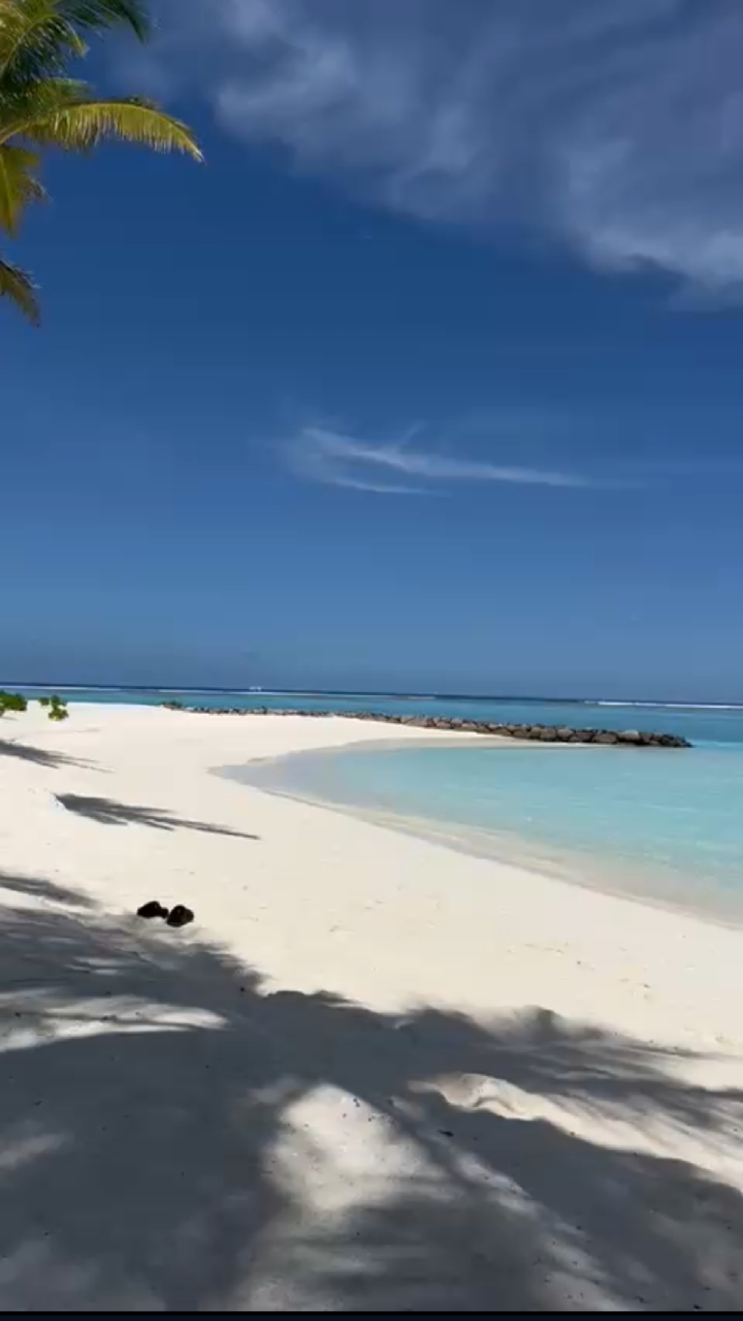 ДОБРОЕ УТРО, ВСЕМ🌞🌴 ПУСТЬ У ВАС ВСЁ ПОЛУЧАЕТСЯ! 👍