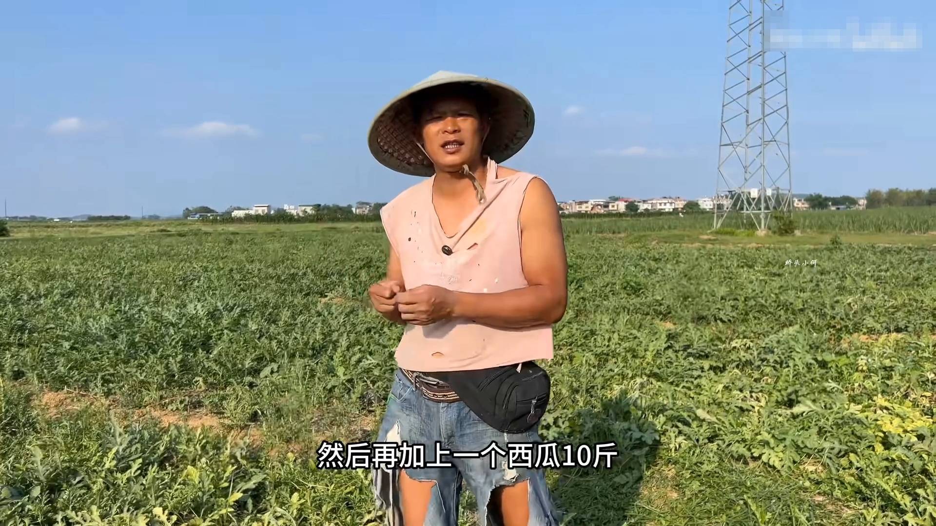 Сяо Хэ из Цяотоу - объясняет почему в Гуанси на полях гниют арбузы
