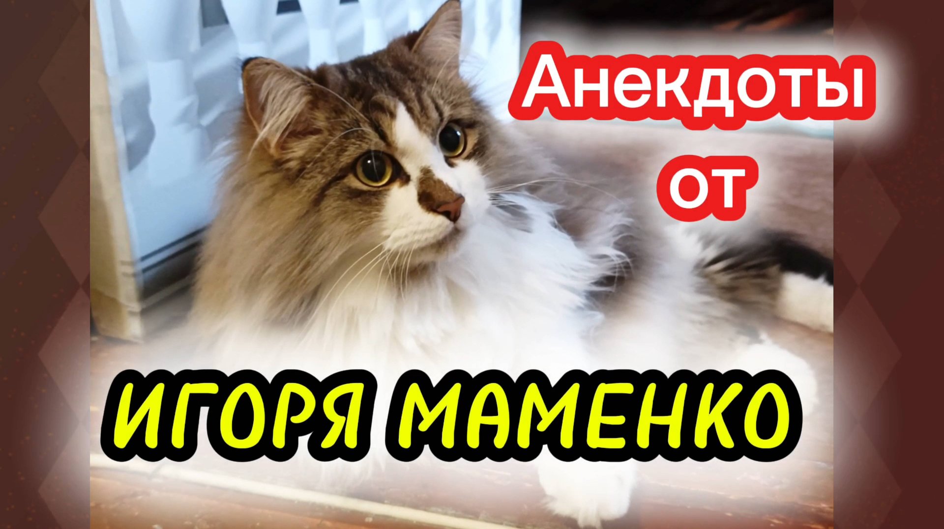 Анекдоты от Игоря Маменко.