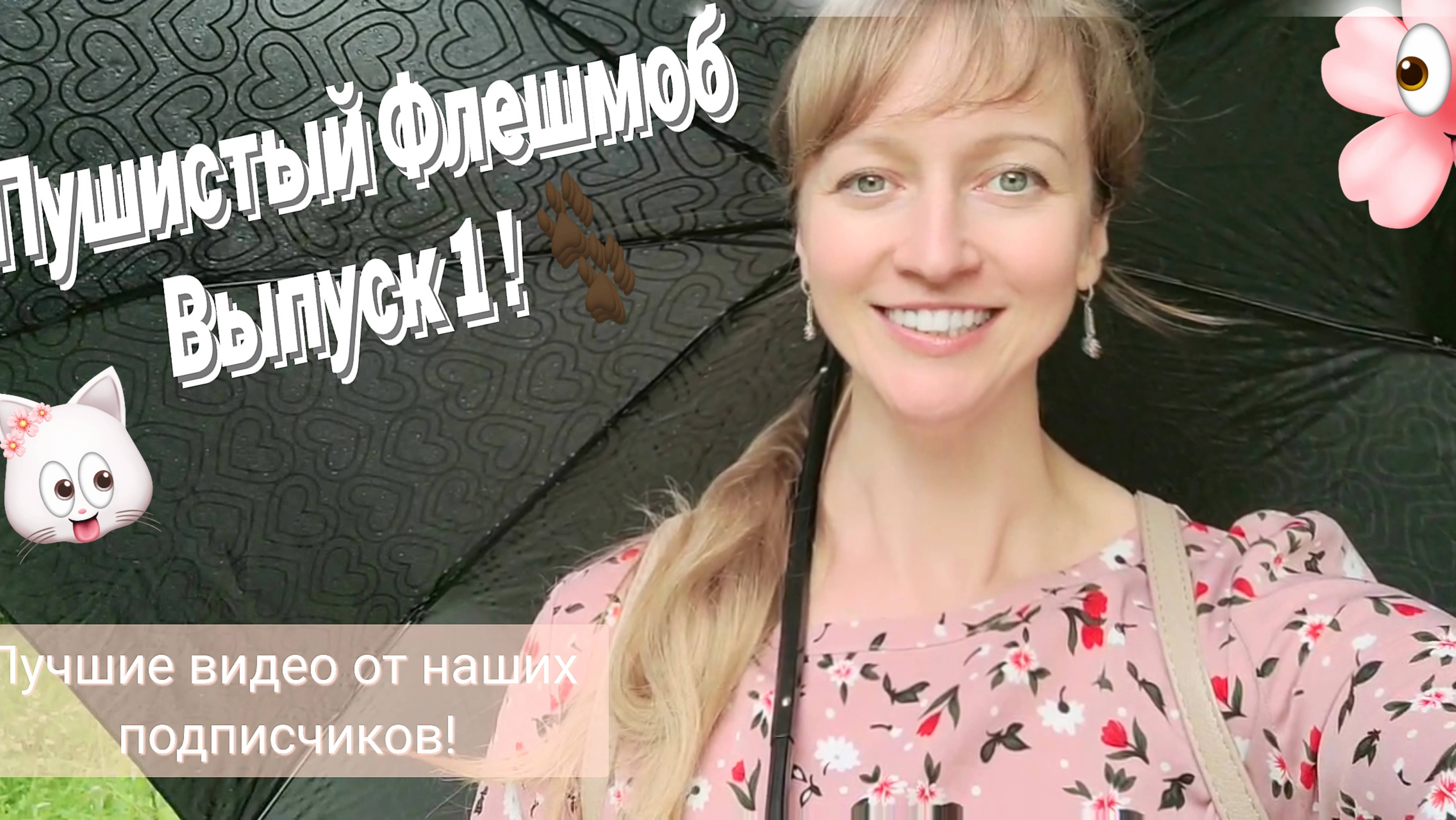 Пушистый Флешмоб: Выпуск 1! 🐾 Лучшие видео от наших подписчиков!