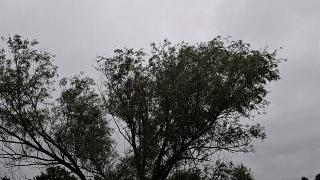 Покупные грунтозацепы. Неудачная покупка, ч.1