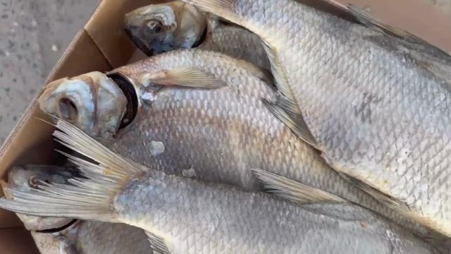 Слабосоленый вяленый лещ