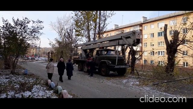 Опиловка тополей