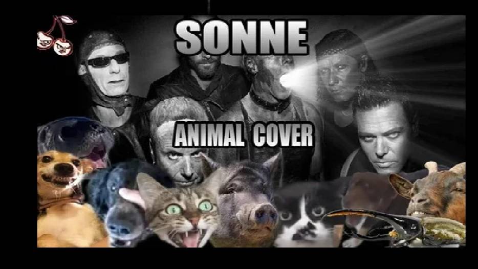 Rammstein - Sonne (Animal Cover)