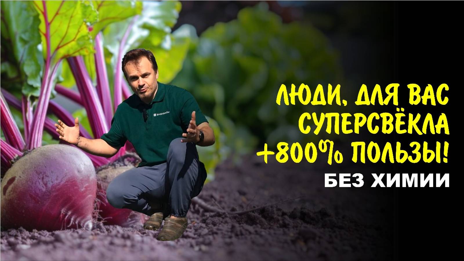 Почему наша свёкла — чемпион мира по витаминам и минералам? Раскрываем технологию.