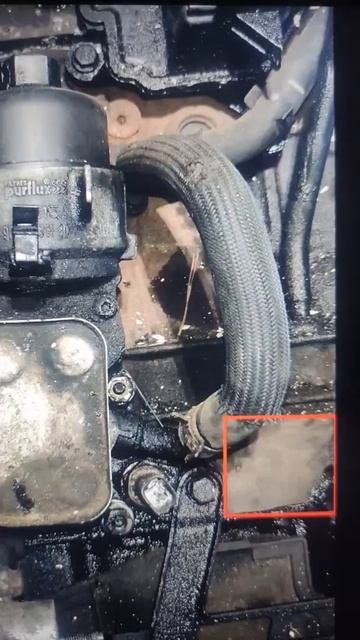 HDi 2.0 Где указан номер двигателя, код (тип) мотора от PSA