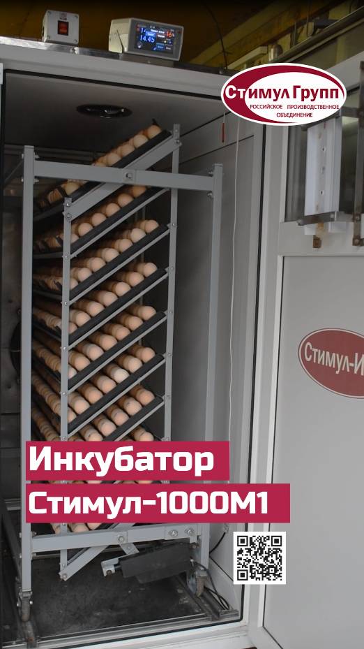 Инкубатор Стимул 1000 автоматический
