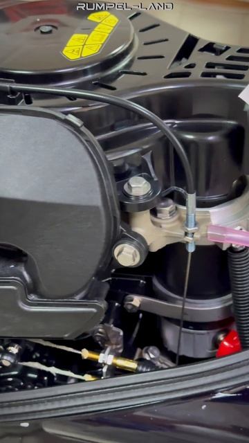 Отправка в СПб: Tohatsu MFS 20 EFS в подарок