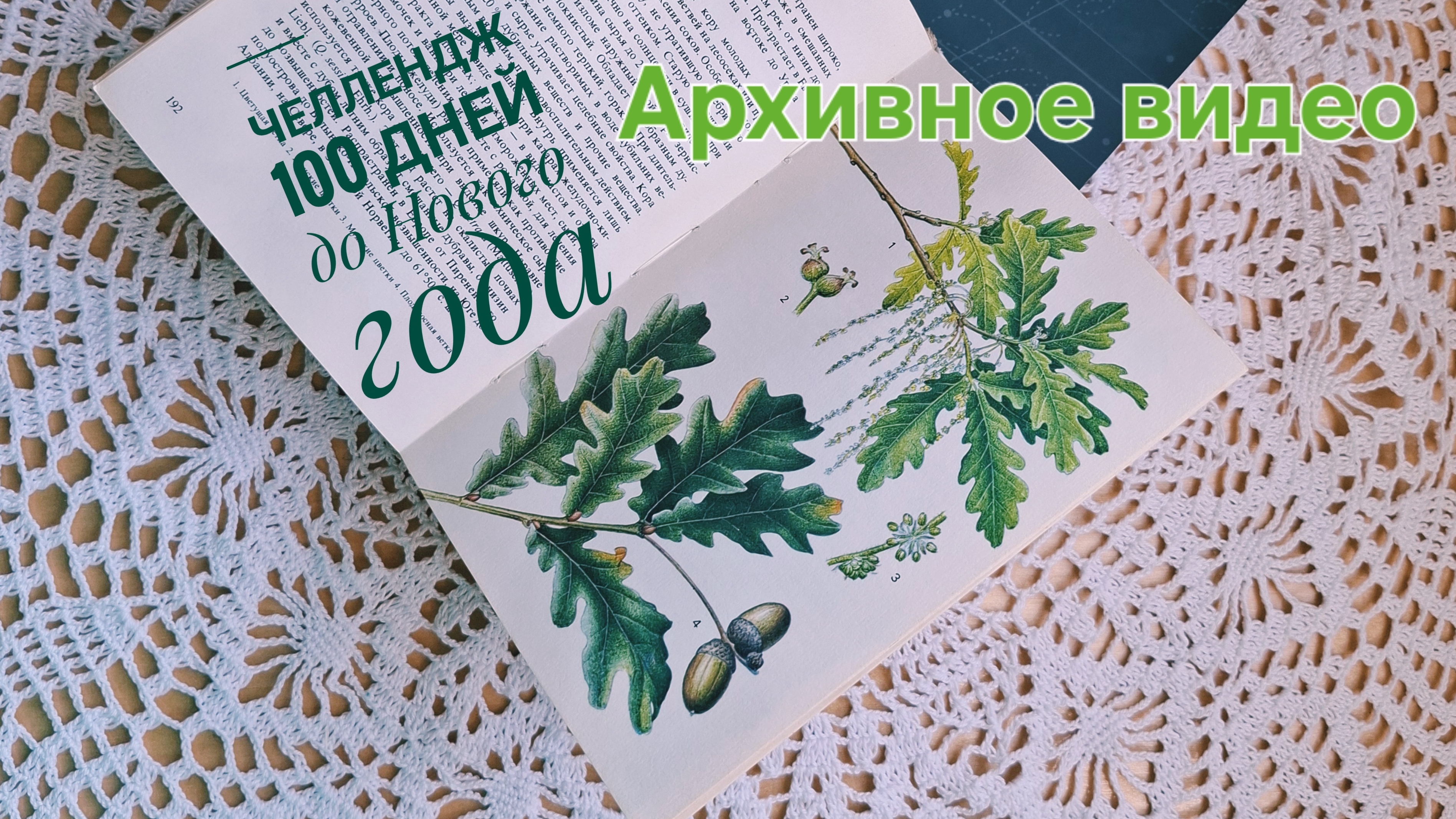 Челлендж 100 дней до нового года. Архивное видео 2024 года.