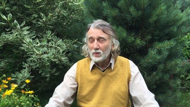 Манипура чакра. Огненная чакра.