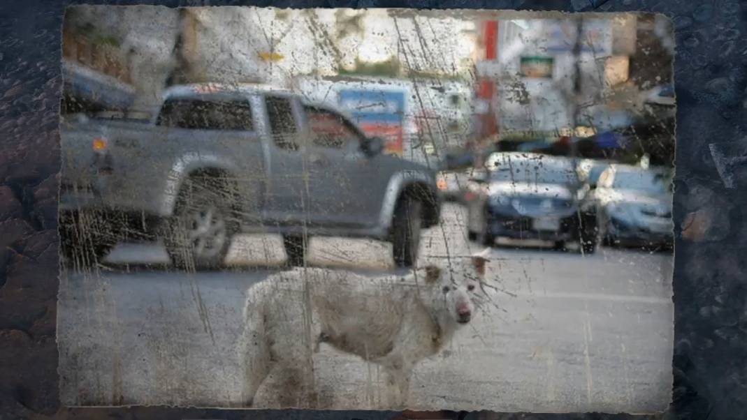 Наконец-то нашёл карту || Mad Max #4