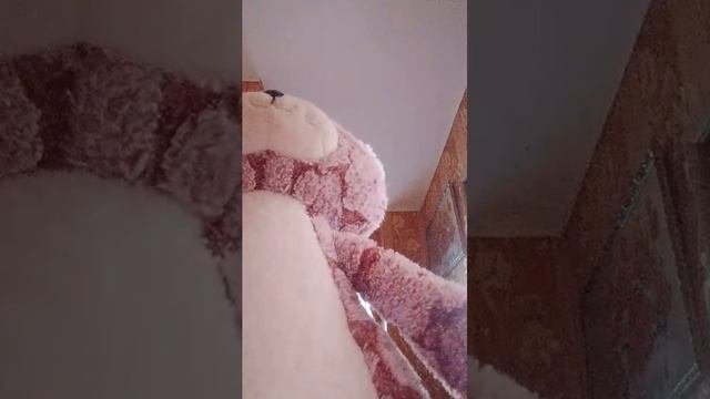 я всех люблю