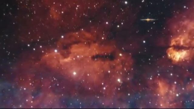 3 Медитация Разбудите внутреннего целителя Цигун для начинающих  |Ли Холден ( Lee Holden)