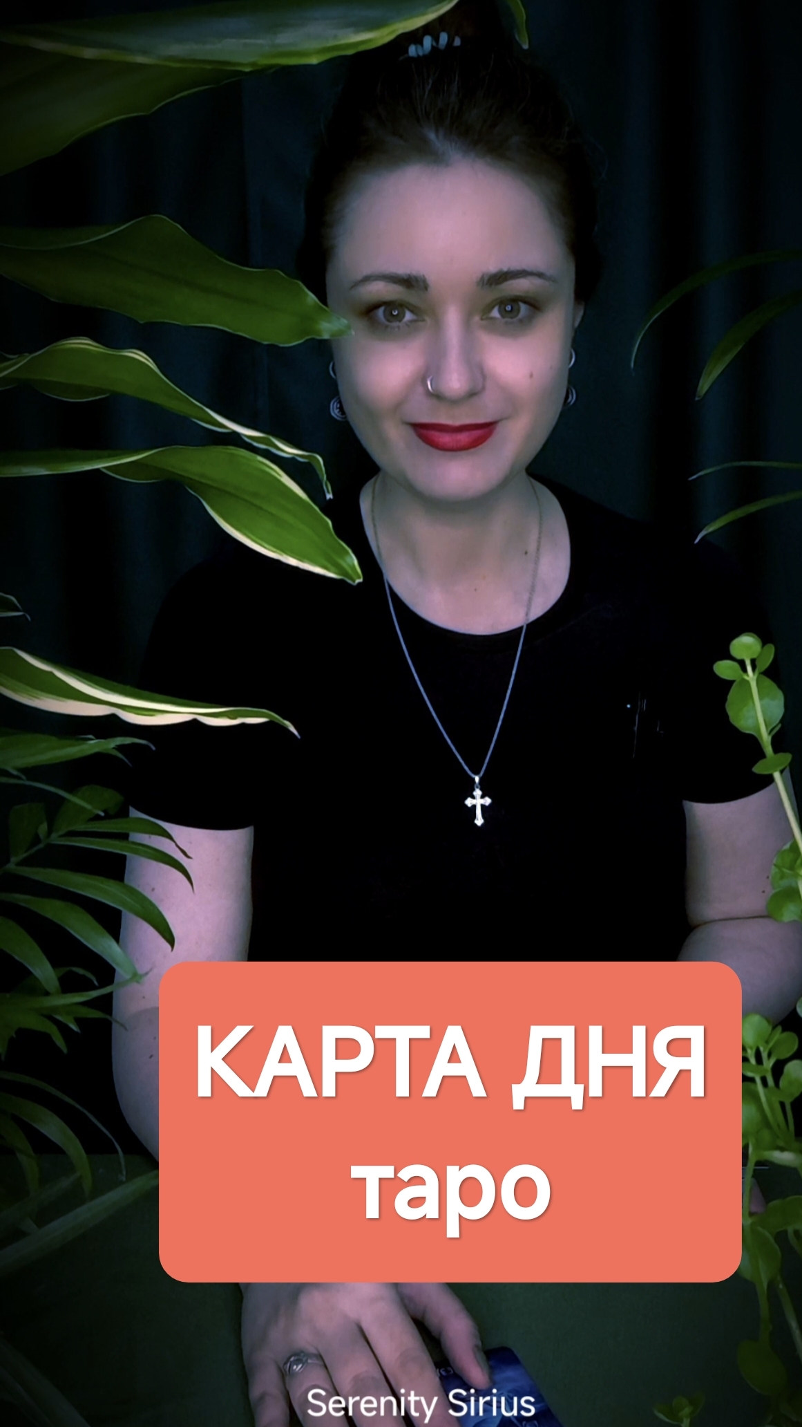 карта дня таро расклад на сегодня