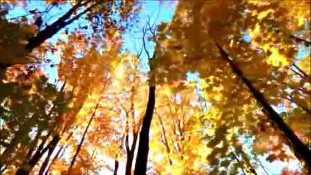 Афины Осенняя  рапсодия 2022