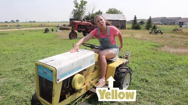 Учим транспорт - Развивающее видео для малышей  Песенки и игры