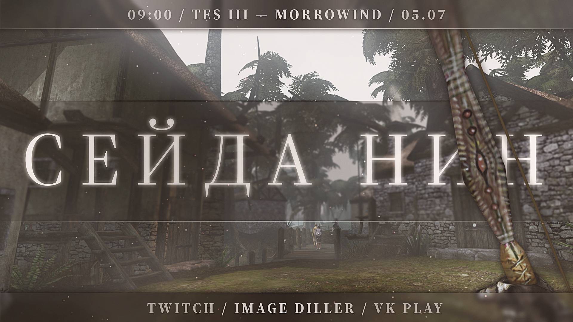 The Elder Scrolls III: Morrowind — Сейда Нин — #2