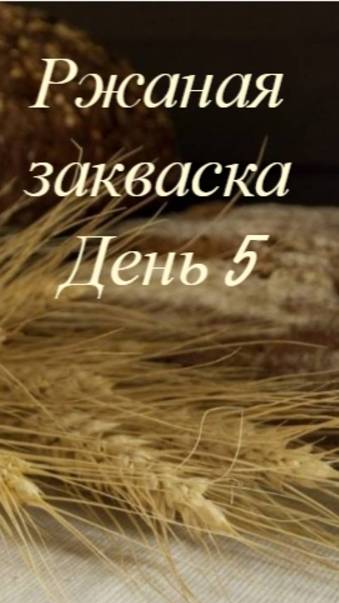 Рецепт ржаной закваски день 5. Видеообзор на канал Olga PekarKo, пробуем приготовить