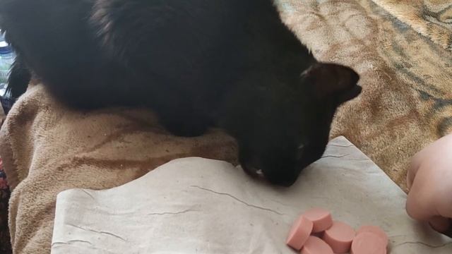 Кушаем с дядей вкусную сосиску