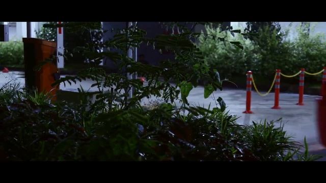 Passion Marta - Lines