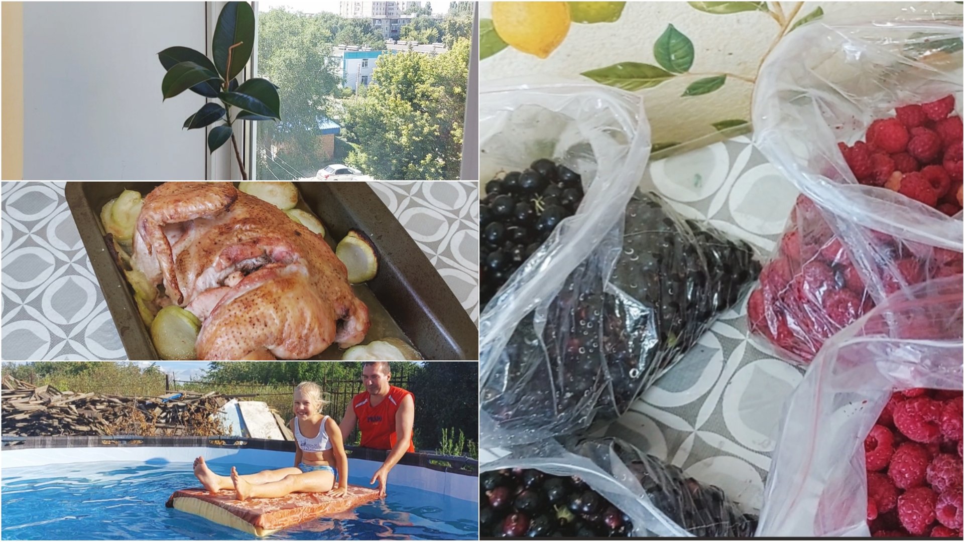 КУРИЦА С КАБАЧКОМ 🔥 ЗАПУСТИЛИ НОВУЮ ЛЕЖАНКУ В БАССЕЙН // ЯГОДА НА ЗИМУ // БУДНИ БЕЗ САДА