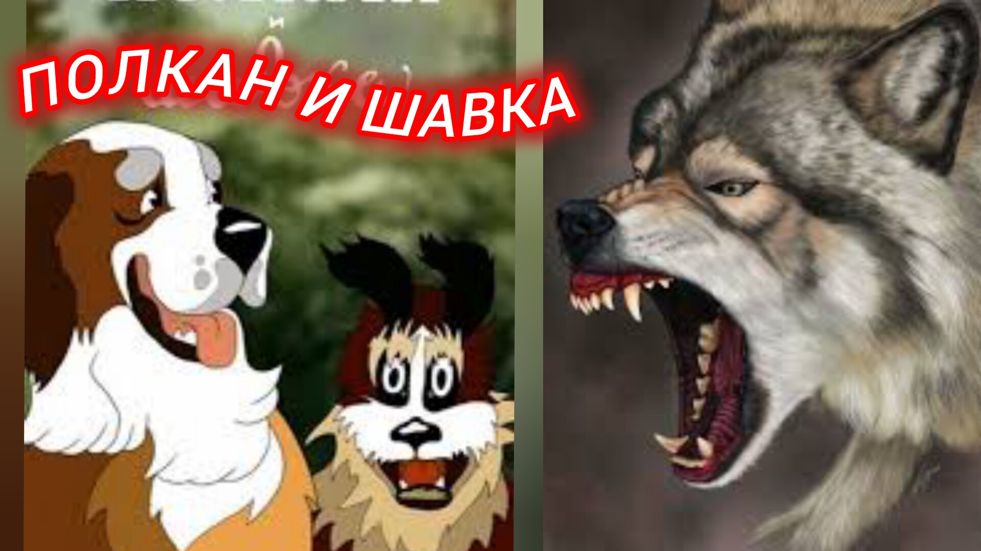 ПОЛКАН И ШАВКА. (БАСНЯ  С. Михалкова)
