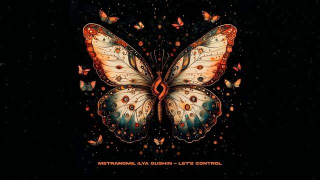 Metranome, Ilya Gushin - Let`s Control [Journey of the Soul]