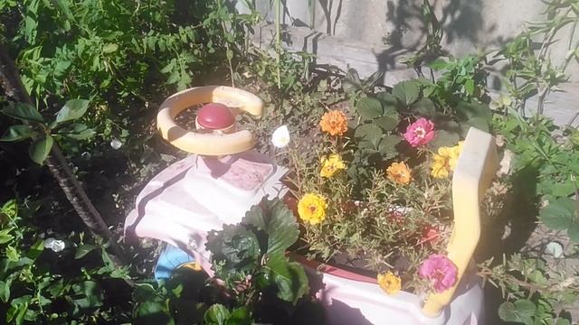 VID_20250710_083744.mp4