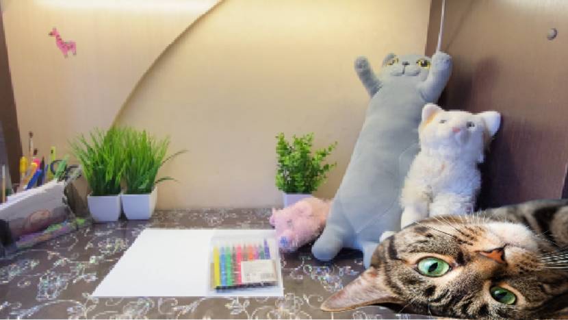 Украсили стол с котом Андреем!