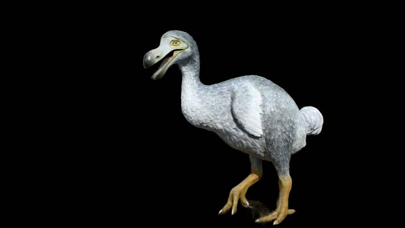 Начал делать платформер. Чё пока получилось #3