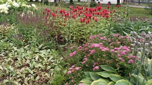 Красота есть везде.