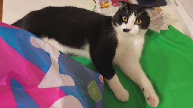 РАСПАКОВКА OZON