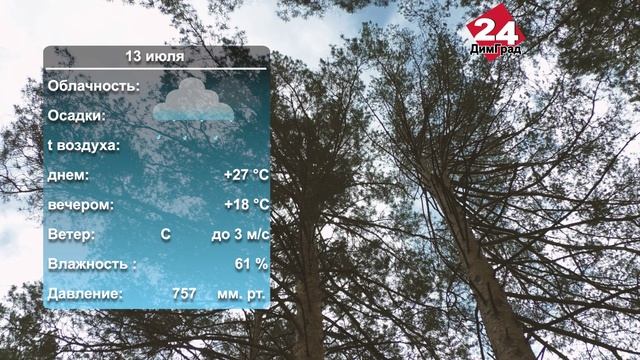 Погода на завтра. 12.07.2025