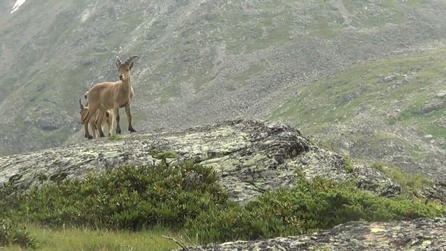 Имеретинские озера 2018