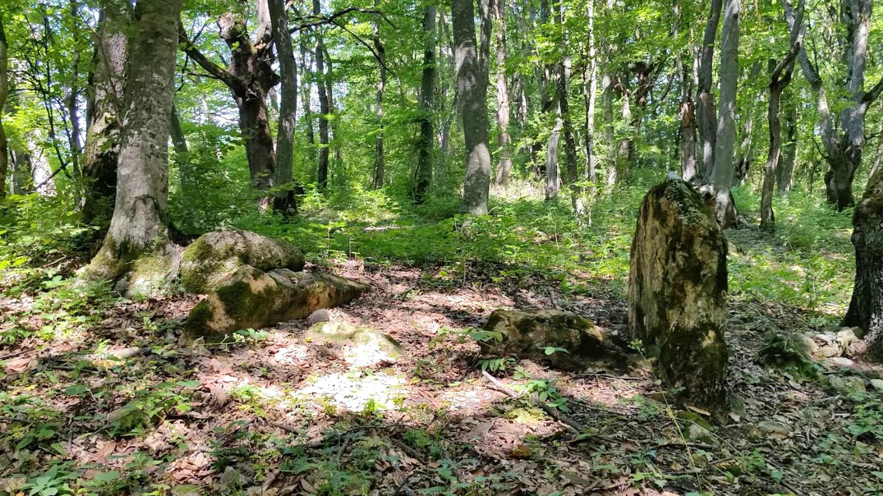 Видео 104 (часть 1) - Группа дольменов у полян Бикет (Севастопольская)
